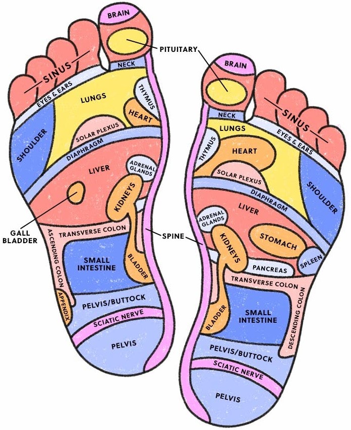 Reflexology Chart – Acu Affectects Inc. Acupuncture, Naturopath ...